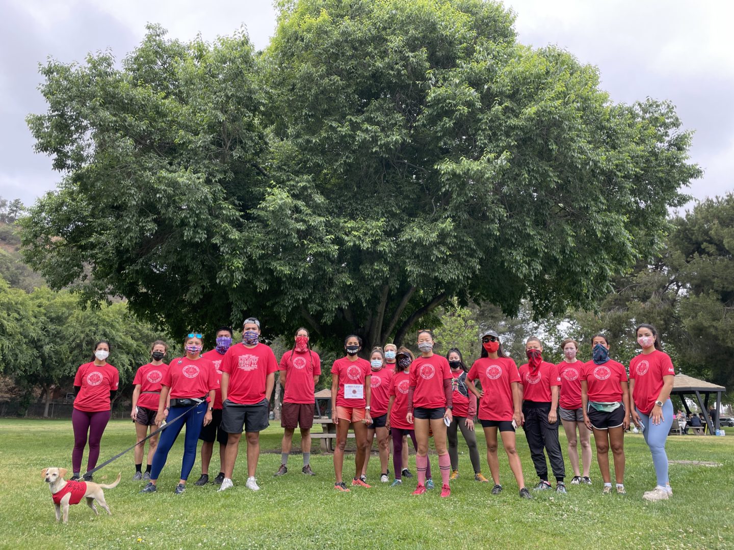 The Intersection of Running and Advocacy - Running USA