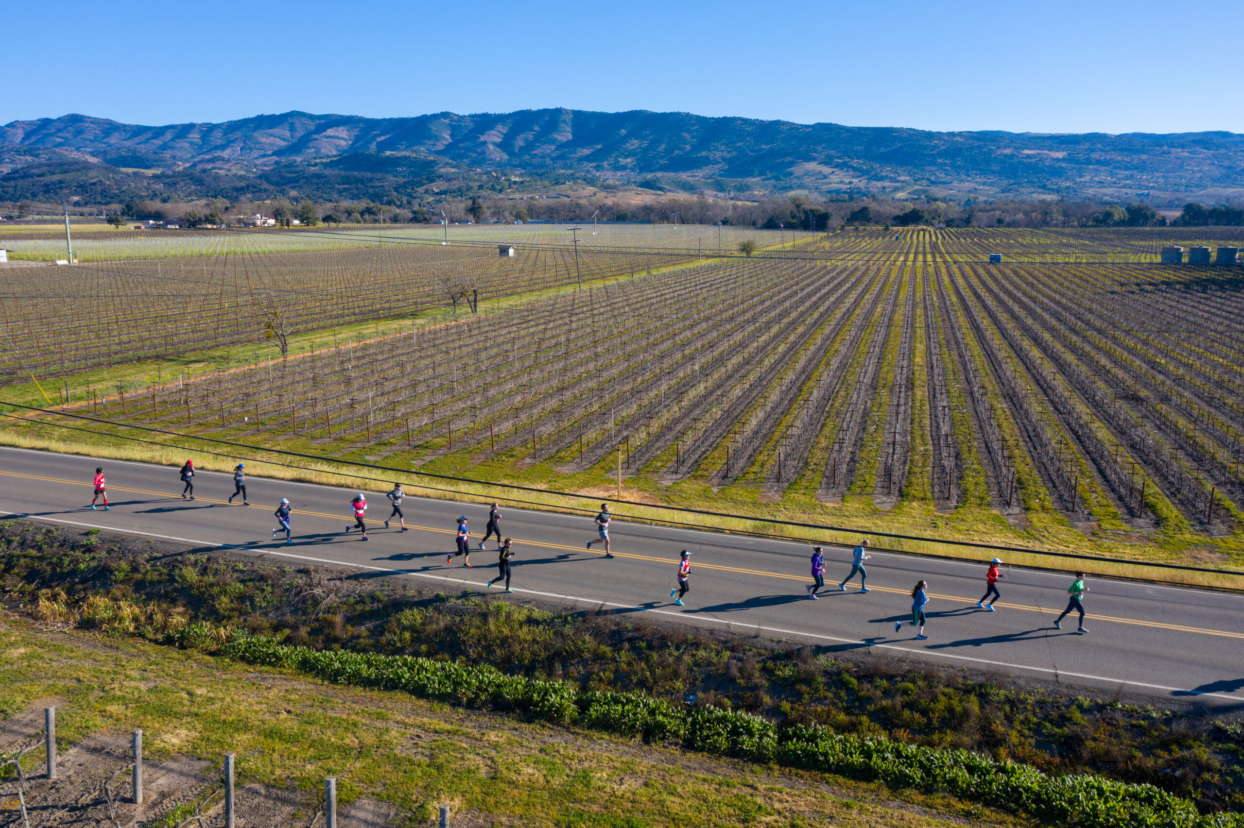 2023 Kaiser Permanente Napa Valley Marathon & Half at Full Capacity as ...