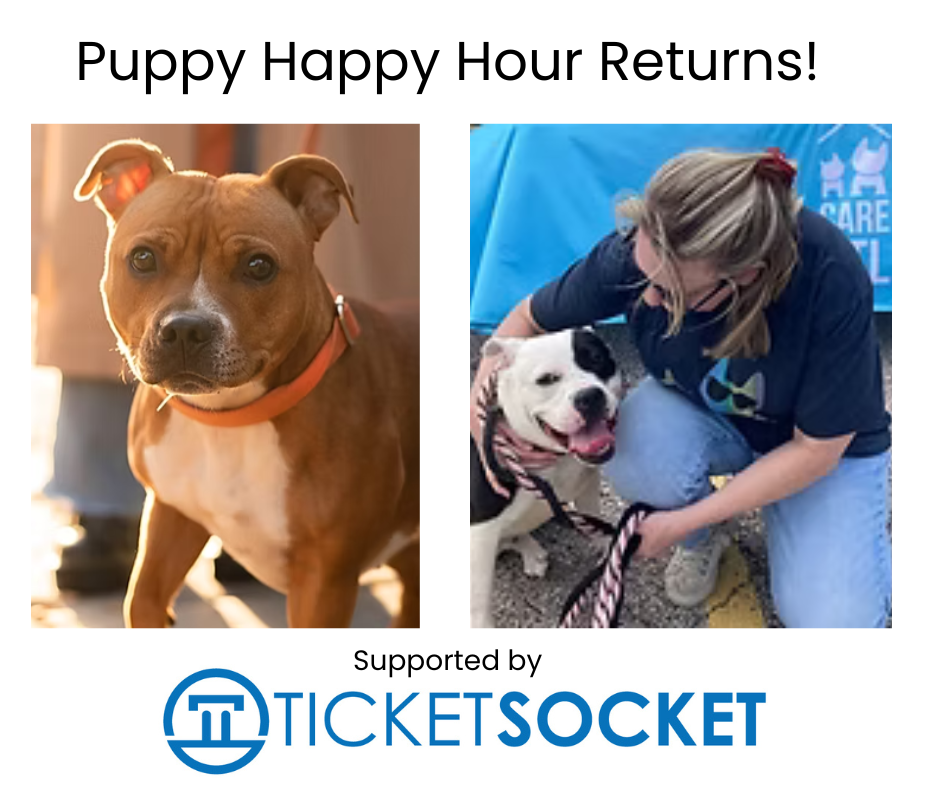 Puppy Happy Hour Returns for Third Straight Year at the 2026 Running ...